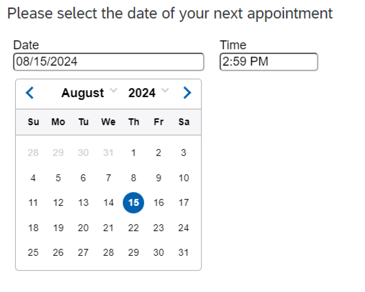 Date Time Picker - Walker
